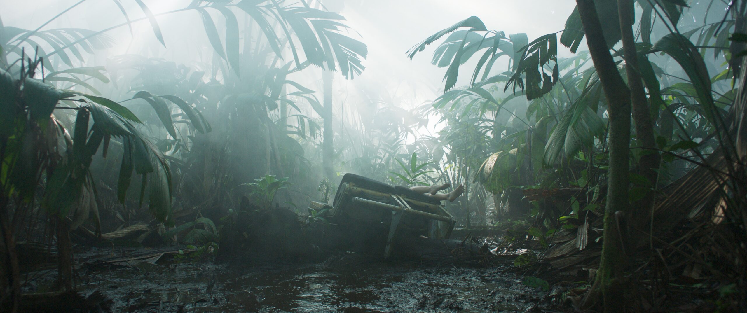 Transamazonia - The Film Verdict