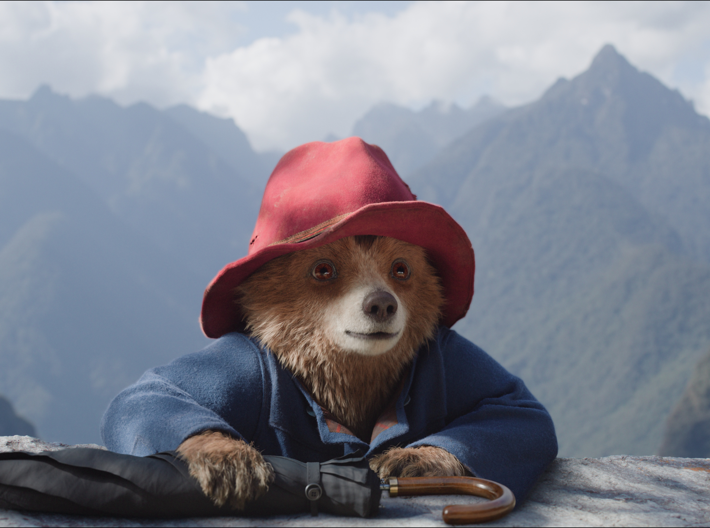 Paddington in Peru - The Film Verdict